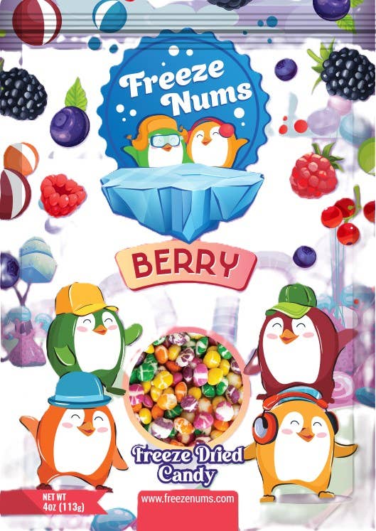 Freeze Nums Berry 4oz, 12ct – Hallstrom Home