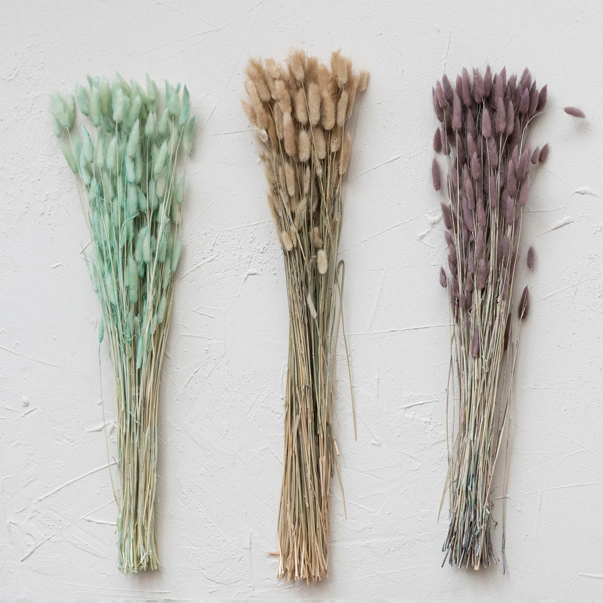 Dried Natural Bunny Tail Bunch, Natural – Hallstrom Home