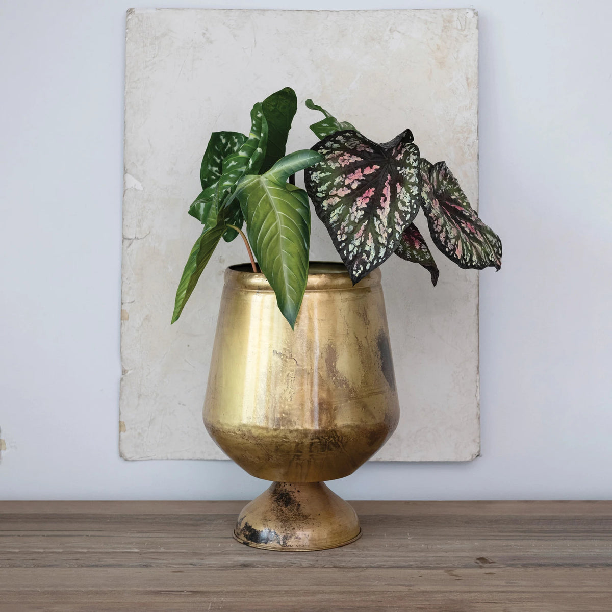 Faux Elephant Ear Plant in Plastic Pot & Black – Hallstrom Home