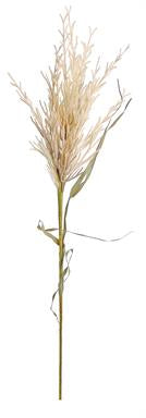 Cream Grass Spray – Hallstrom Home